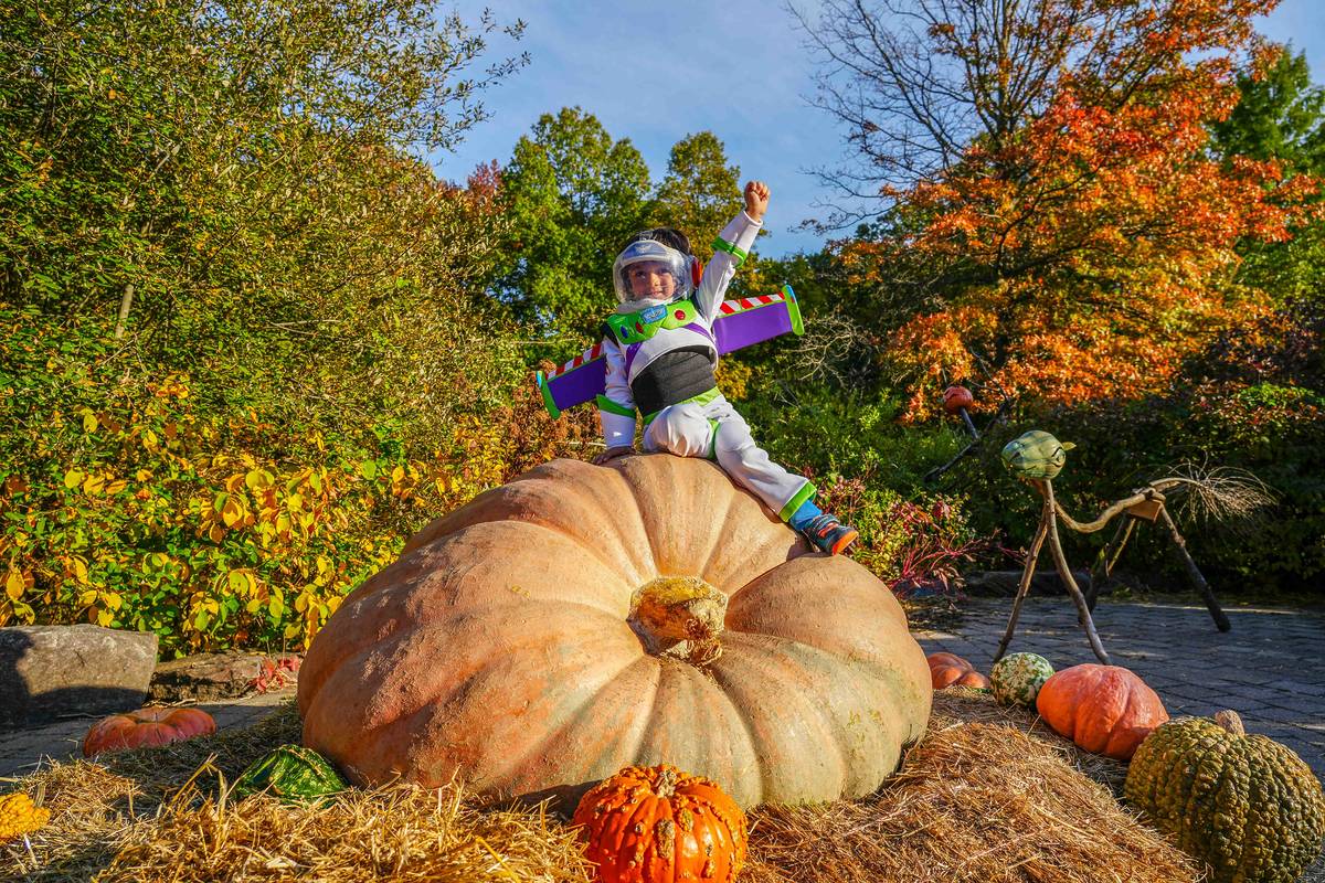 19 Best Halloween Events & Activities For Kids In NYC