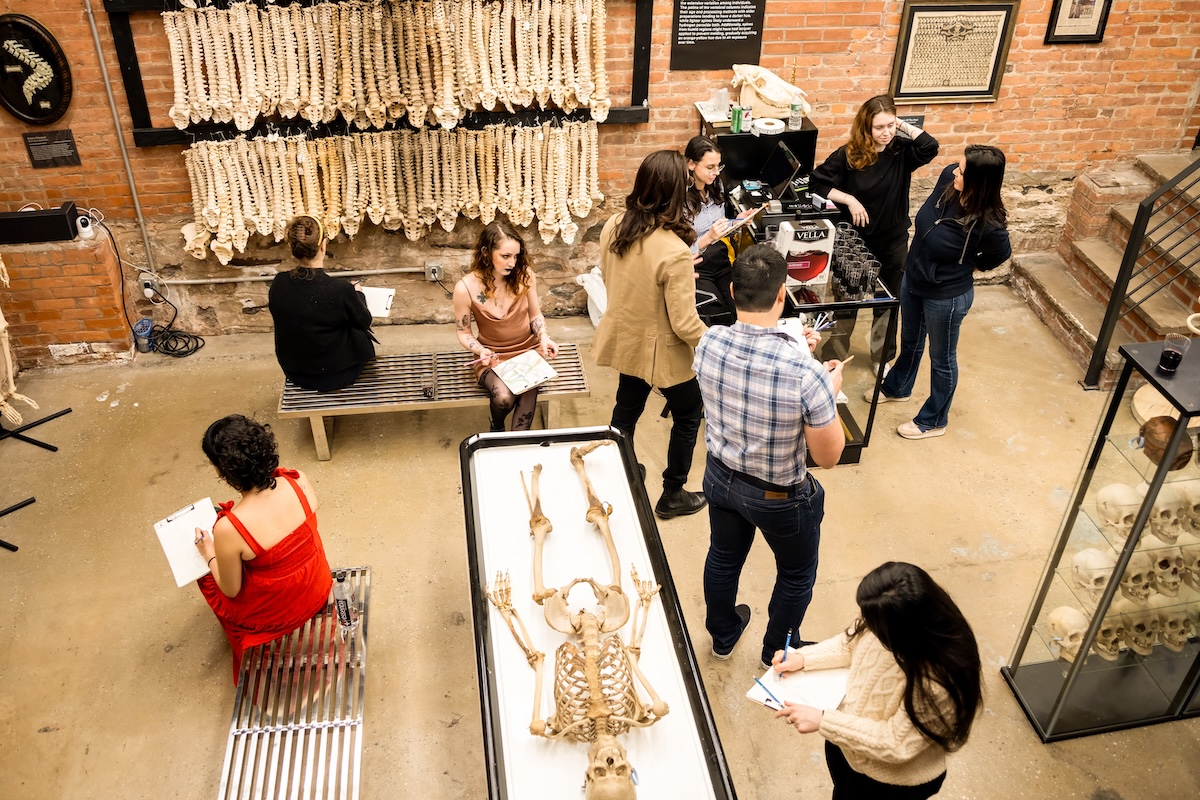 NYC's Bone Museum Houses Real Skeletal Remains
