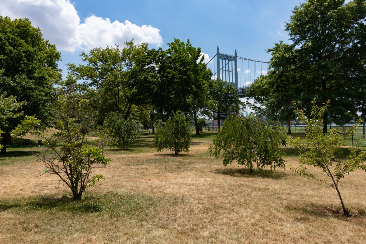 Mayor Eric Adams Declares NYC Under A Drought Warning