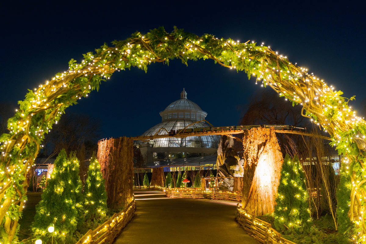 Make Your Nights Festive This Holiday Season At NYBG