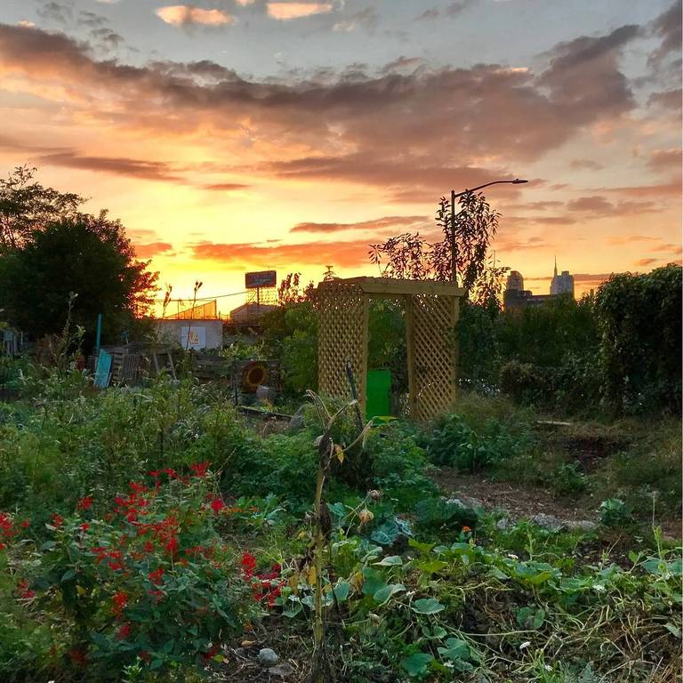 Smiling Hogshead Ranch Faces Eviction