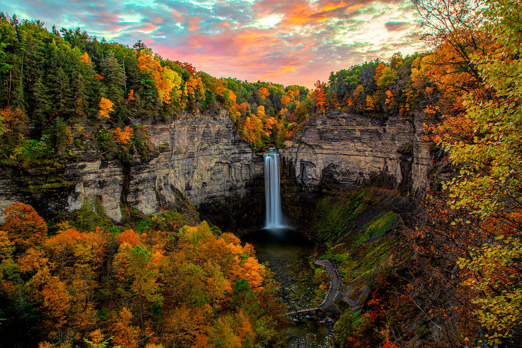 Peak Fall Foliage Dates Revealed For Every Region Of Upstate NY — Plan ...