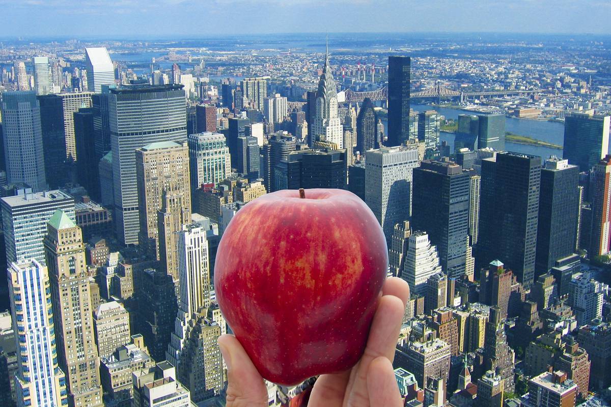 Why Is New York City Called "The Big Apple"?