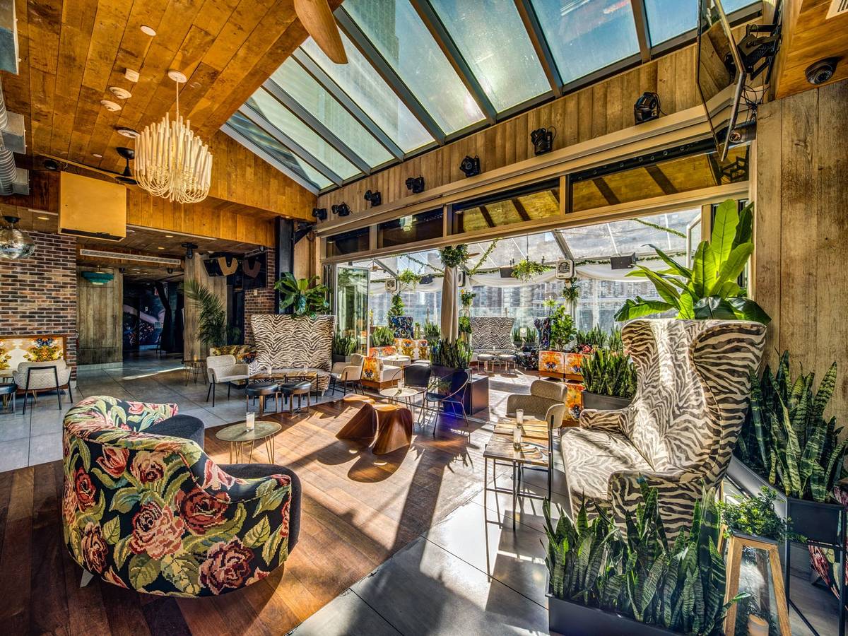 The Best Oscar Watch Parties & Events In NYC (2025)