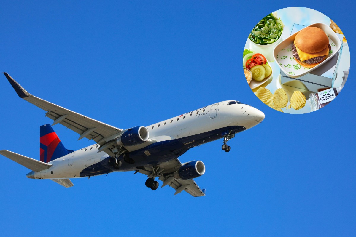 Shake Shack Burgers Are Now Available On NYC Delta Flights