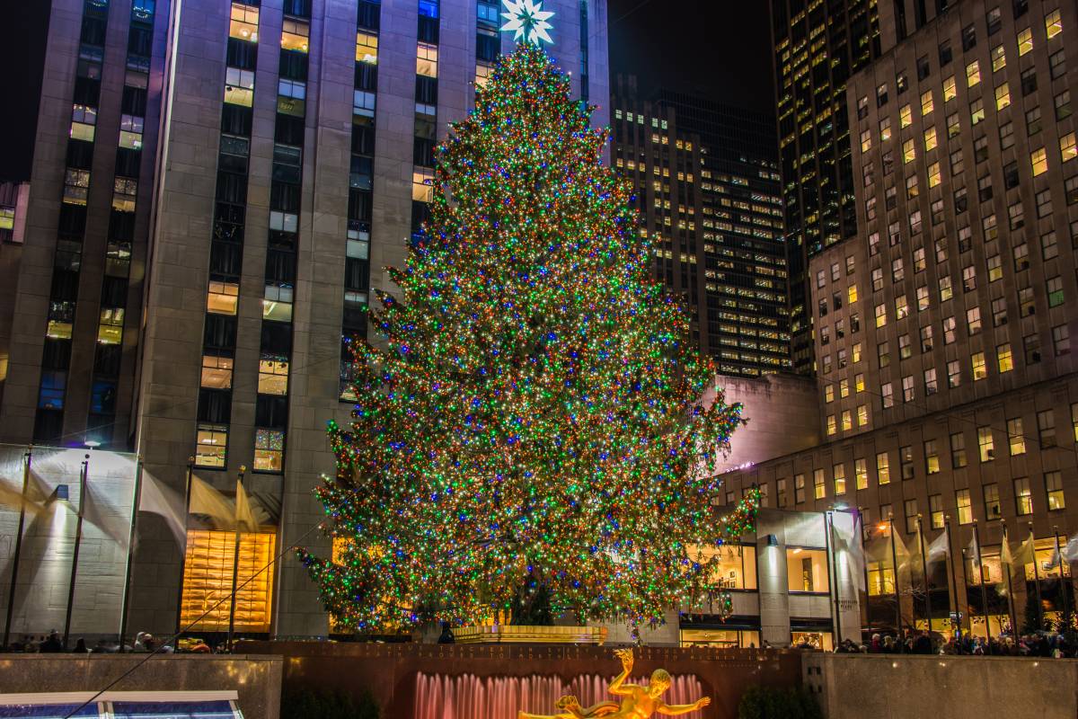 The Rockefeller Center Christmas Tree Was Turned Into Houses