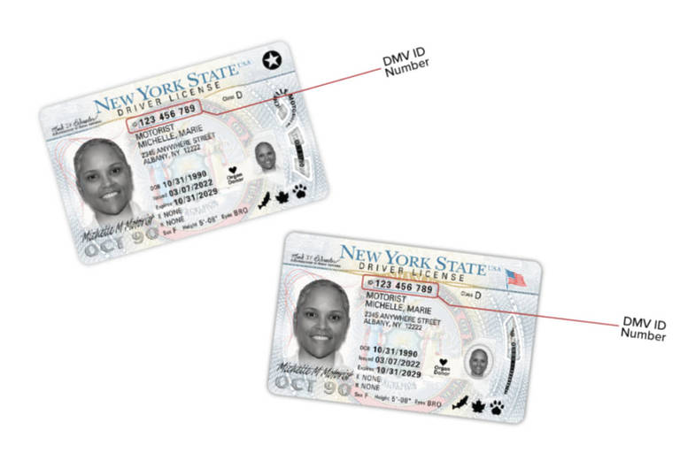 TSA Reveals These States Issue EDLs In Place Of REAL IDs