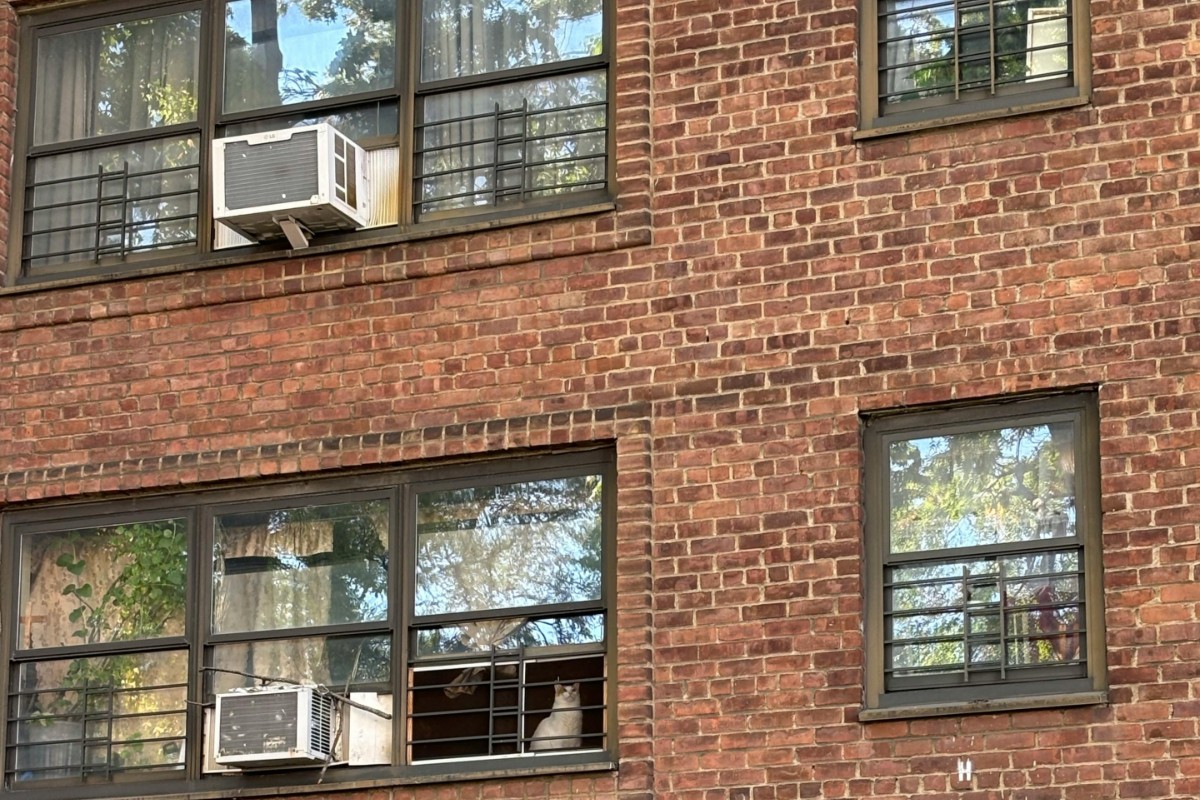 Here's How To Get A Free AC Unit In NYC - Secret NYC