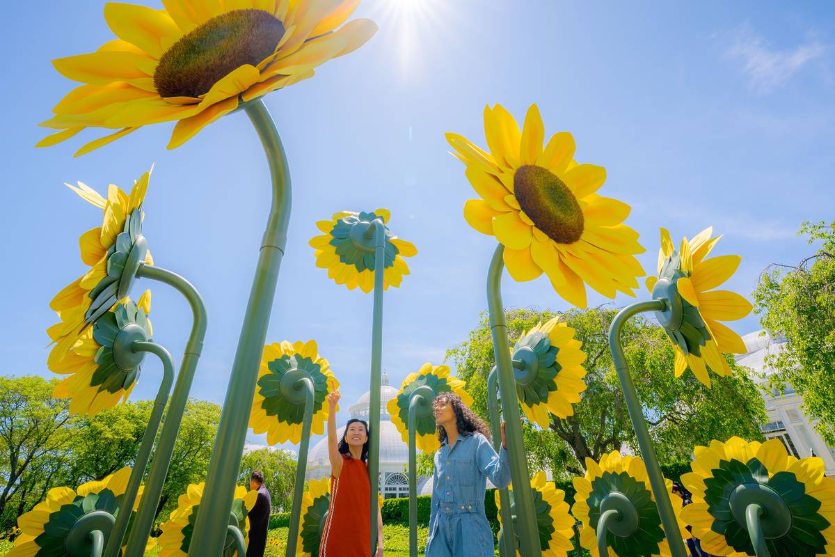 NYBG Presents A Botanical Celebration: ‘Van Gogh Starry Nights'