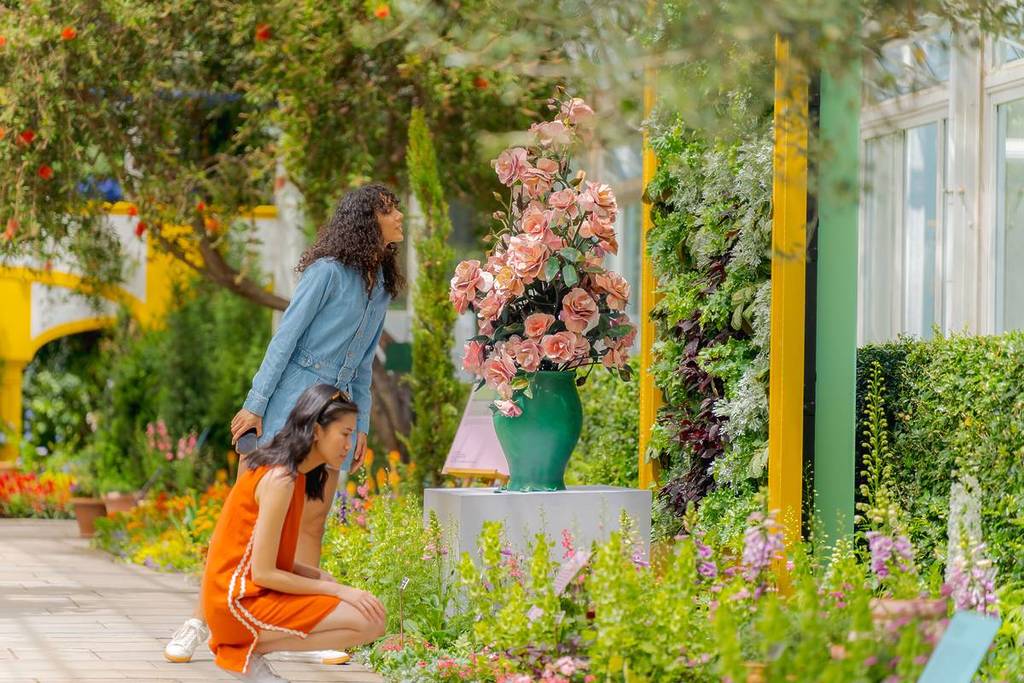 NYBG Presents A Botanical Celebration: ‘Van Gogh Starry Nights'