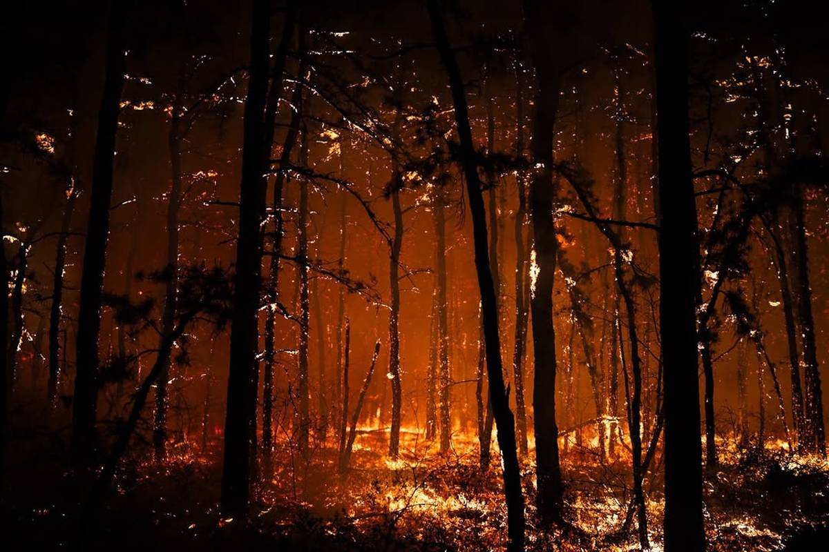 New Jersey Wildfires in Ocean County: Live Updates