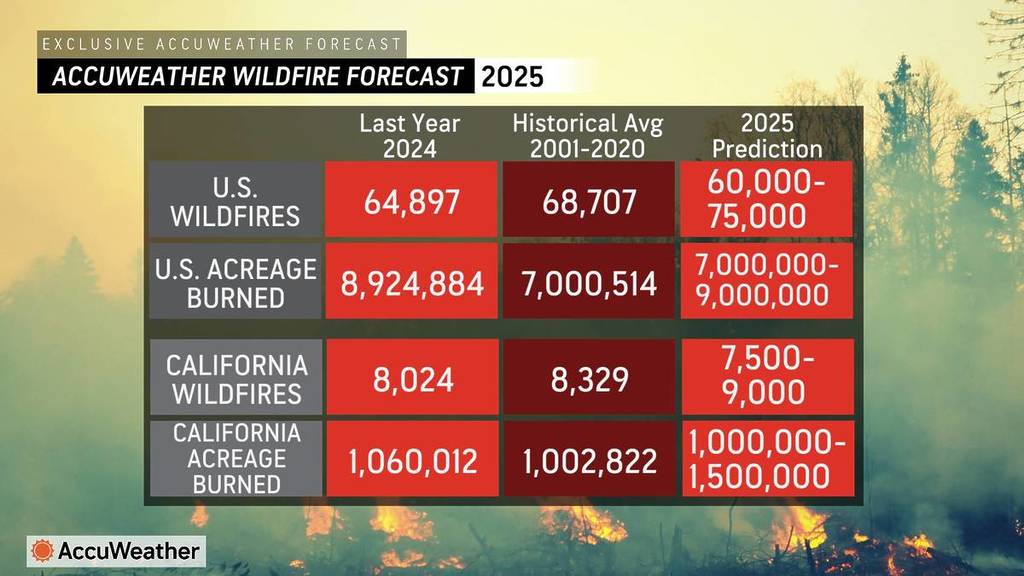 Saison des incendies de forêt supérieure à la moyenne en 2025 : Ce qu ...