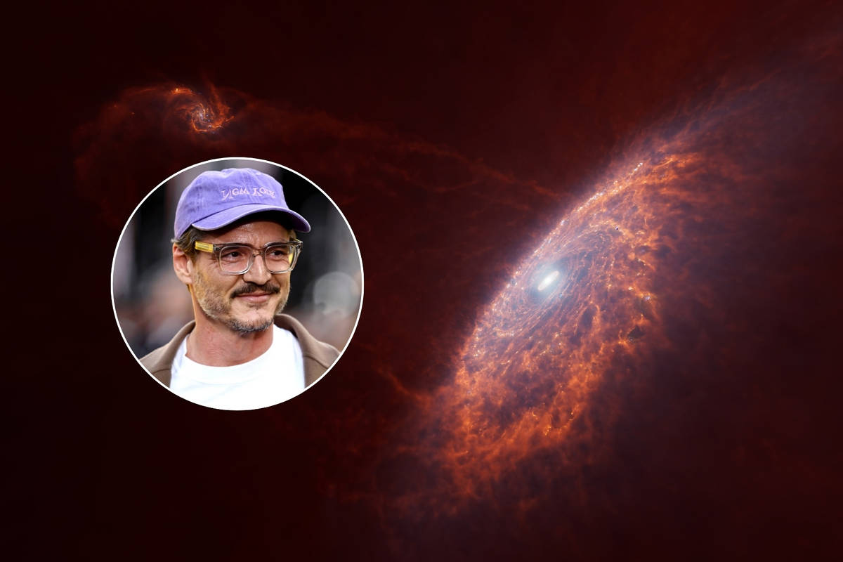 Things To Do This Summer: NYC's 40 Best Events (2025)