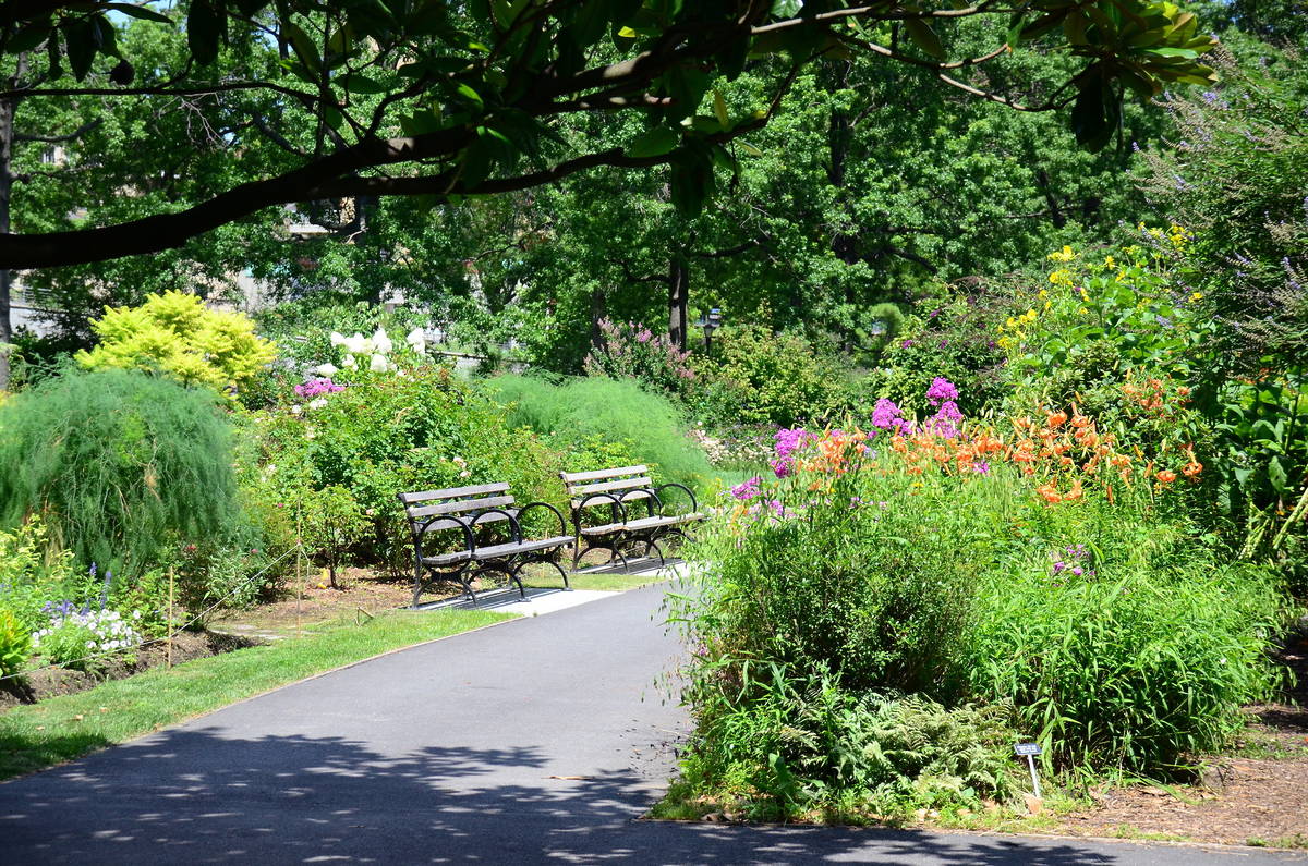 Celebrate Summer At Queens Botanical Garden With These Fun June Activities