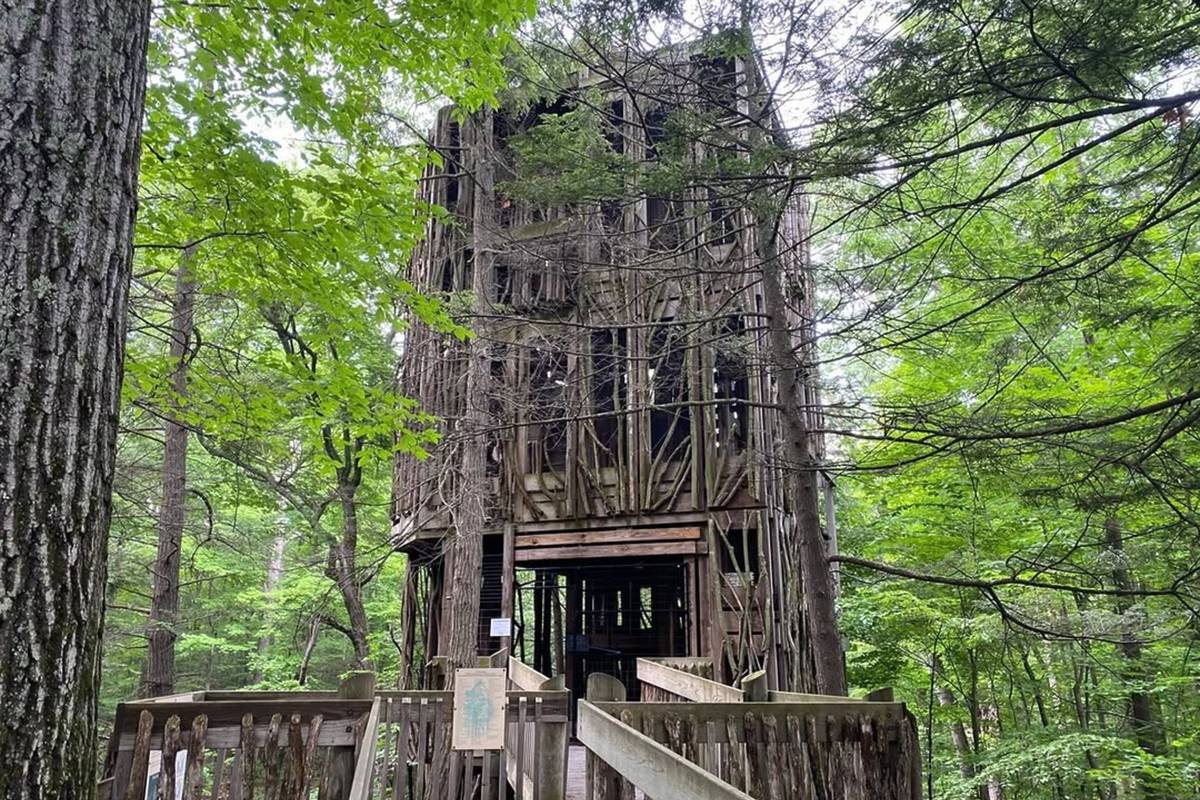 This 6-Story Treehouse Over A Waterfall Is A Few Hours From NYC