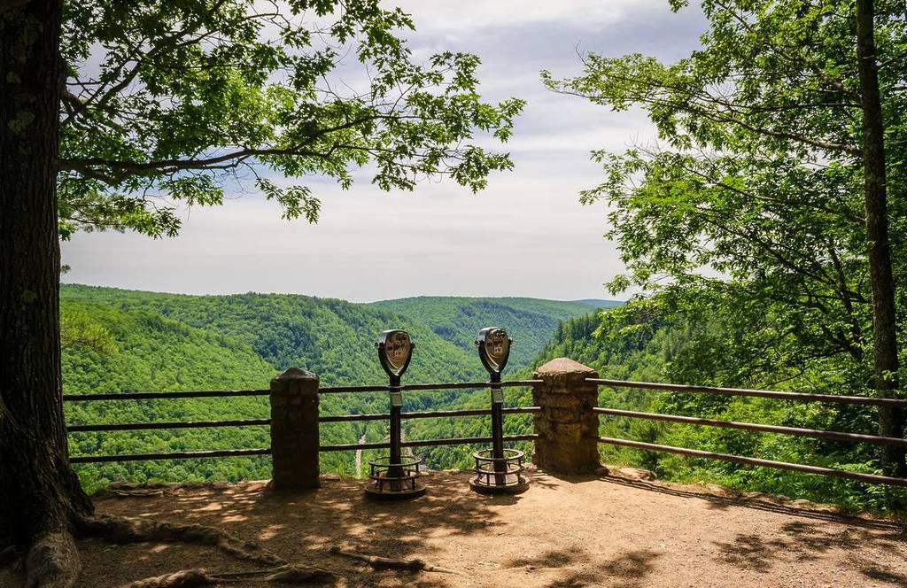 This Jaw-Dropping Gorge Is Known As The ‘Grand Canyon of Pennsylvania ...