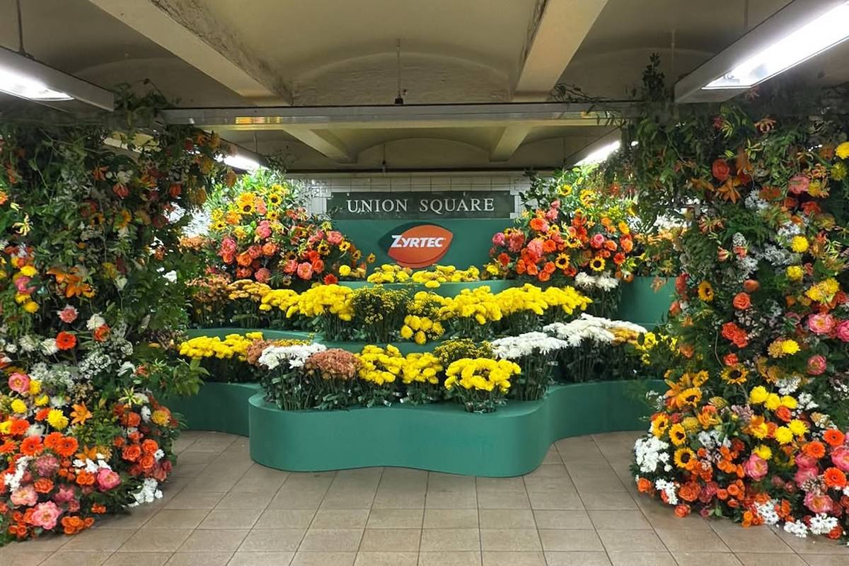 Lewis Miller's Flower Flash In Union Square