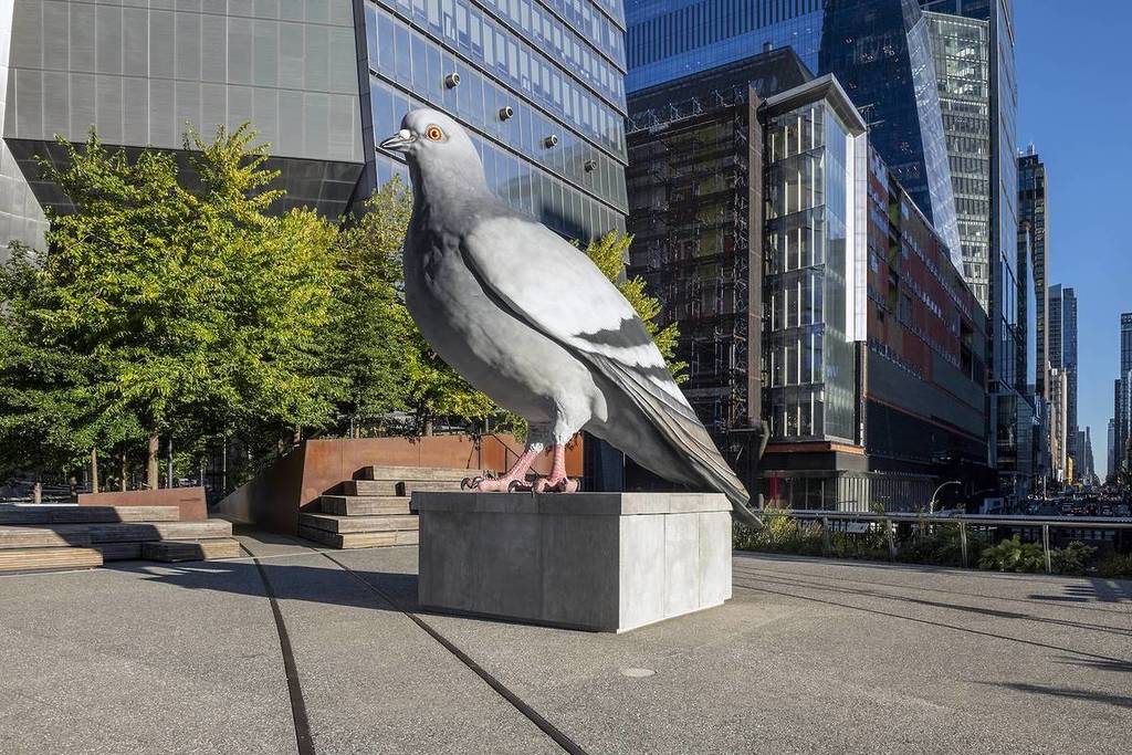 A Pigeon Impersonation Pageant Is Heading To The High Line
