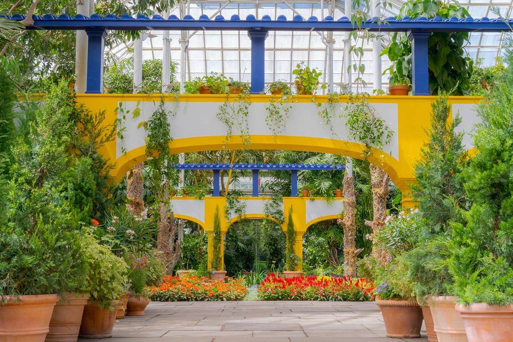 Van Gogh’s Starry Nights At NYBG: Why You Should Go