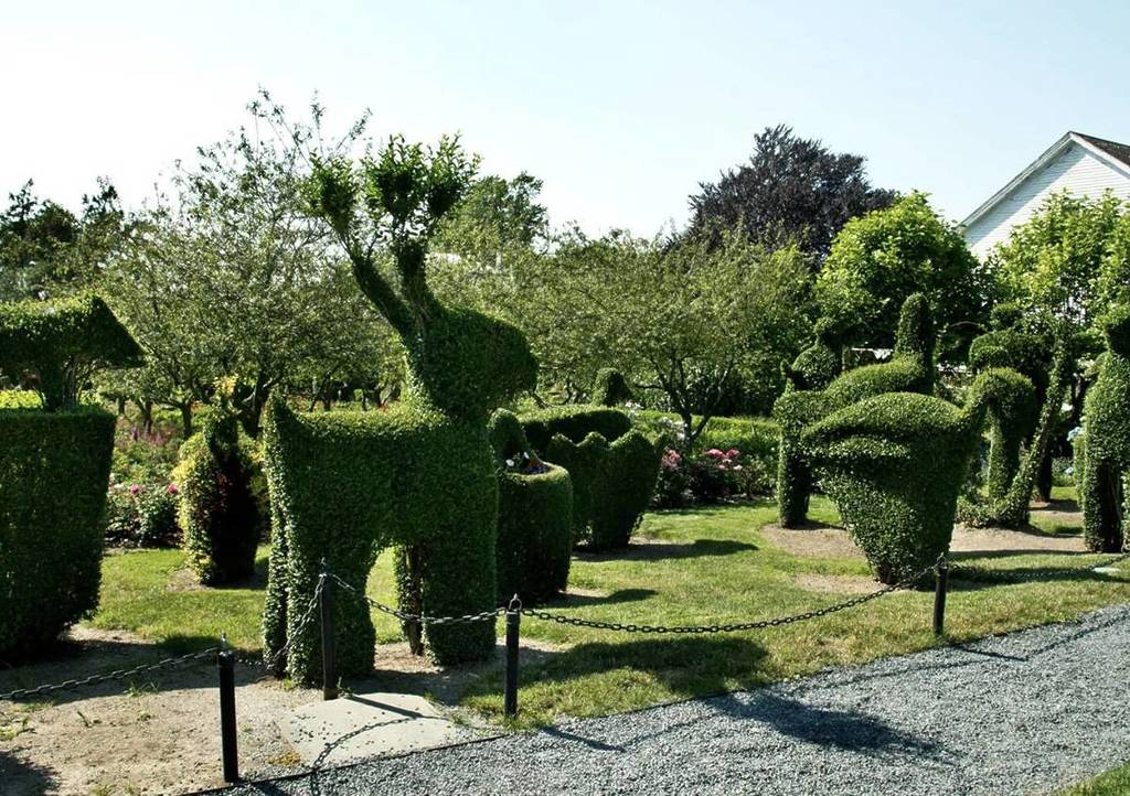 The Nation’s Oldest Topiary Garden Is 3 Hours From NYC—& It's Home To ...