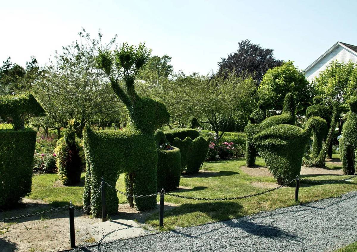 The Nation’s Oldest Topiary Garden Is 3 Hours From NYC—& It's Home To ...