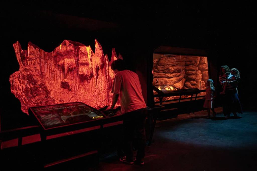 Bronx Zoo's World Of Darkness Exhibit Reopens After 16 Years With 25 ...