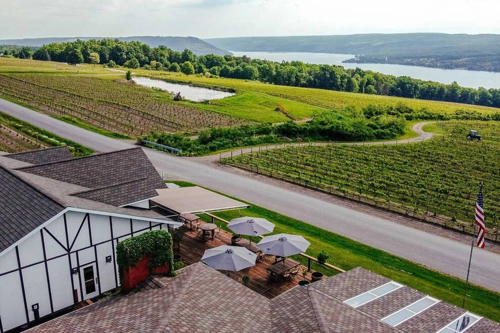 This Upstate NY Winery Planted America’s Oldest Pinot Noir—And Now It's ...
