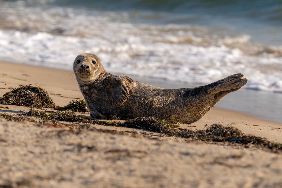 This Charming Rhode Island Town Is Quietly Now a Top 10 U.S. Beach ...