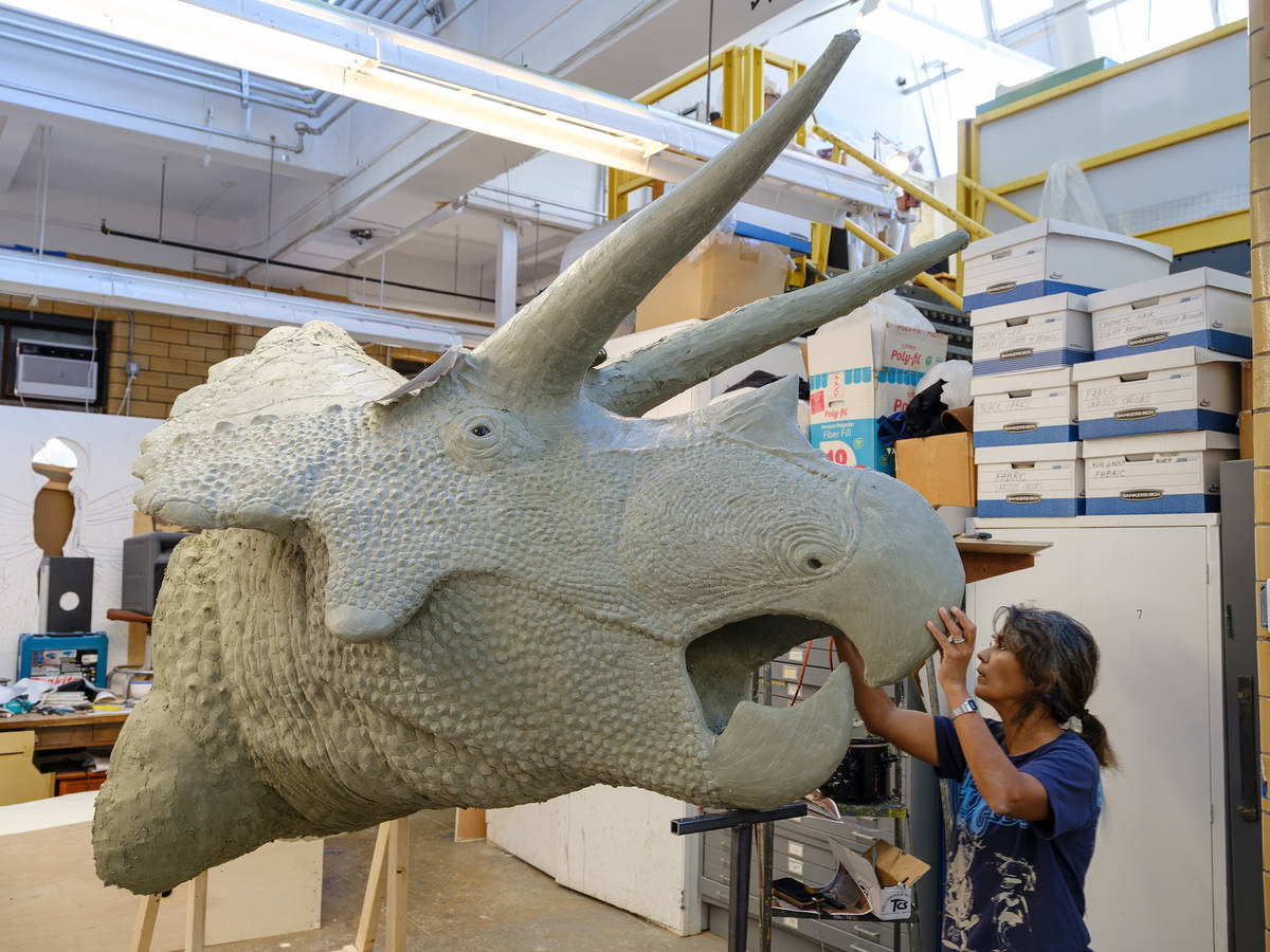 "Impact: The End Of The Age Of Dinosaurs" Coming To AMNH