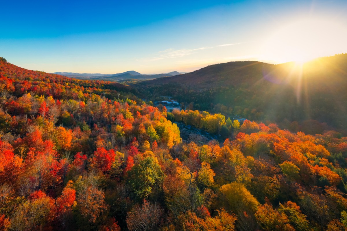Peak Fall Foliage Dates Revealed For Every Region Of Upstate NY — Plan ...