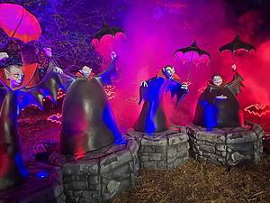 The Nightmare Before Christmas Light Trail Returns to NYBG