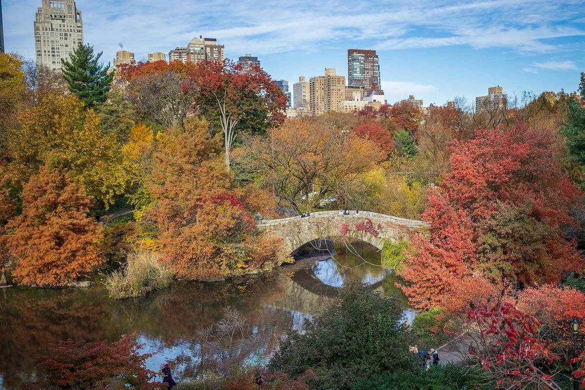 30 Best Things To Do In NYC This Fall (2025)