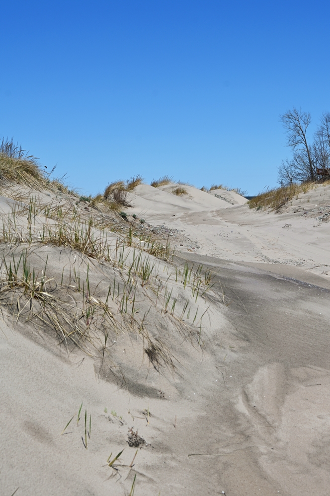 New York’s Largest Sand Dunes Hide Along the Shore of Lake Ontario—Just ...