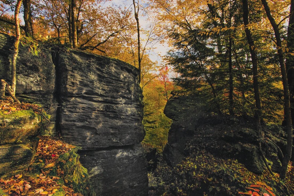 This Free Upstate NY Fall Foliage Festival Lets You Explore 60-Foot ...