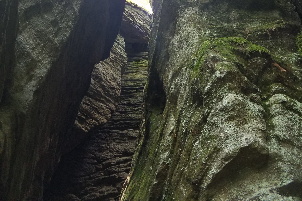 This Free Upstate NY Fall Foliage Festival Lets You Explore 60-Foot ...