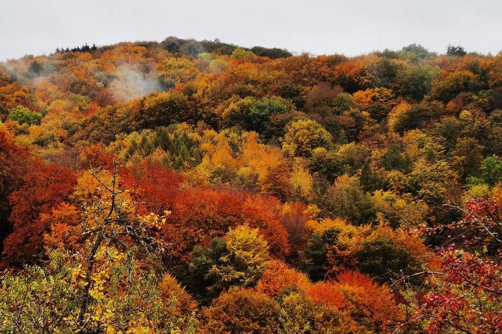 This Charming NY Town Hosts One Of America’s Best Fall Fests — 200 Food ...
