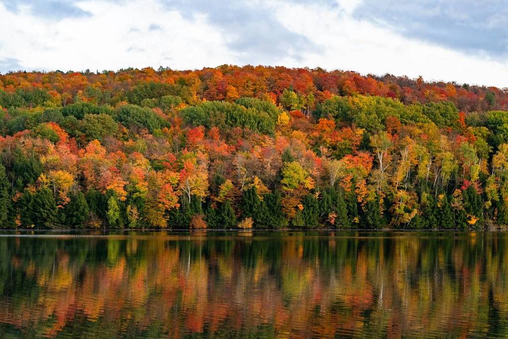 Hudson Valley Crowned No. 1 Fall Foliage Spot: Explore Apple Orchards ...