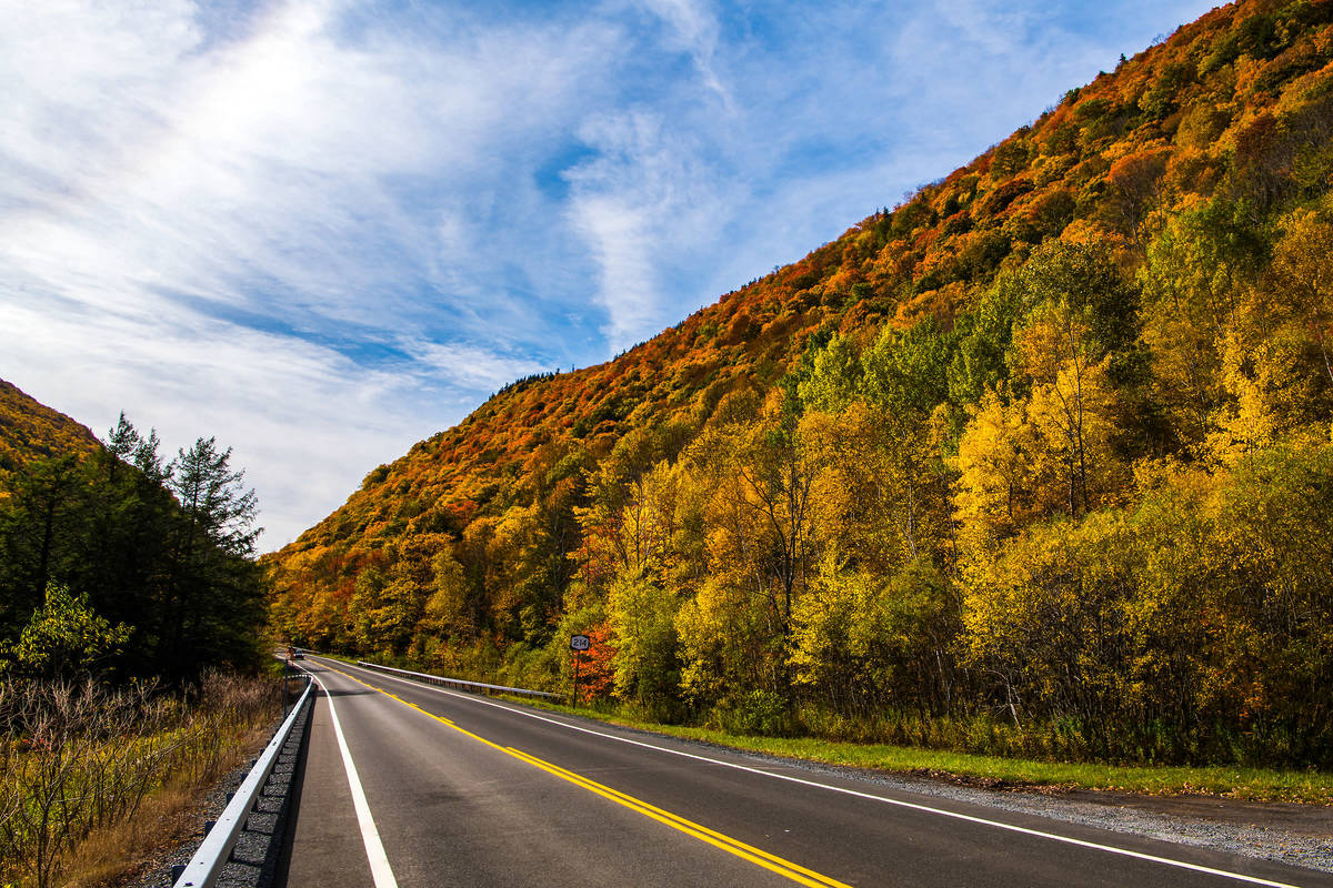 A Scenic 70-Mile Drive In Upstate NY Is One of The Best Roads For Leaf ...