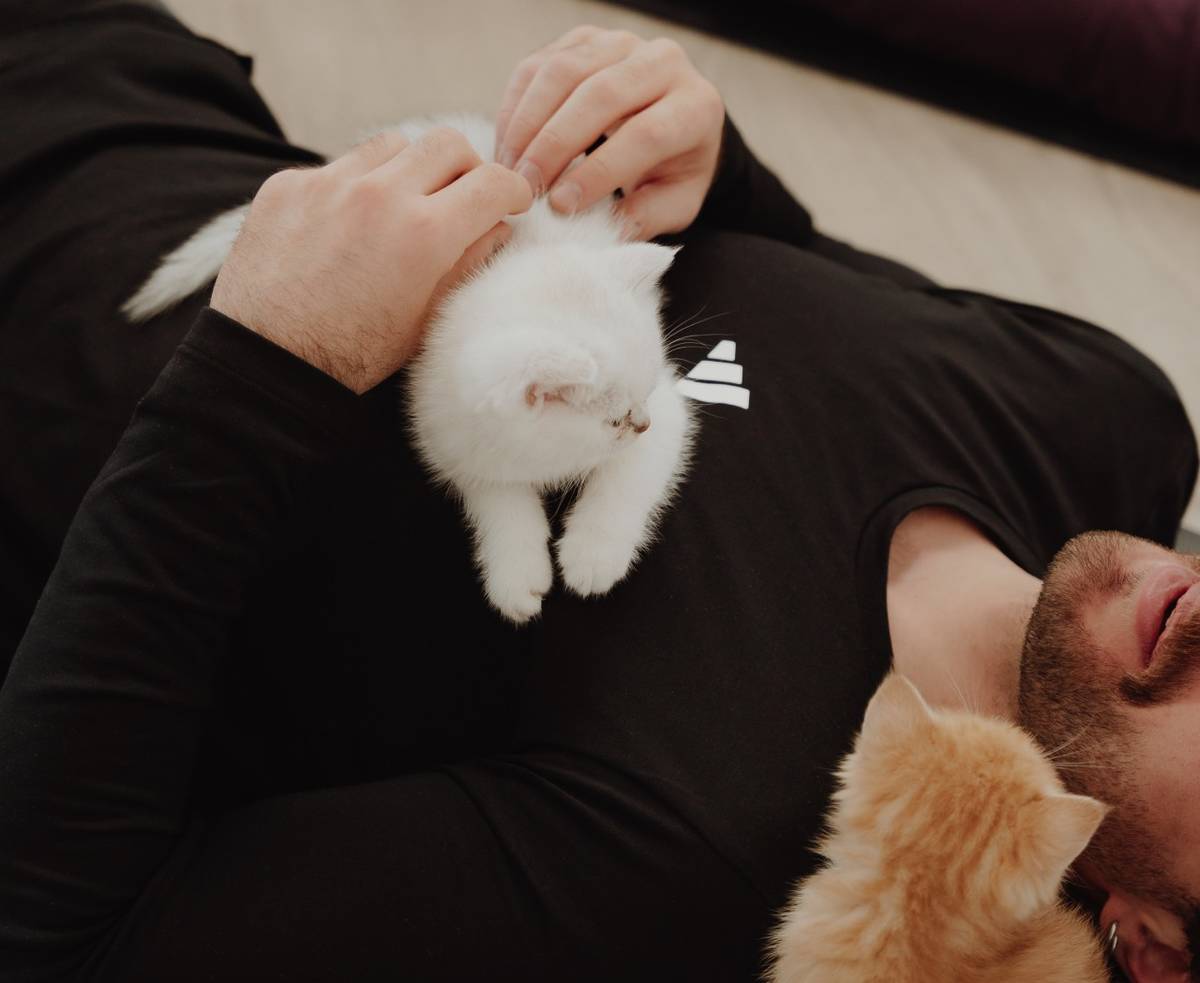 Stretch, Purr, Repeat: NYC’s Kitty Yoga Is The Cutest Workout Ever