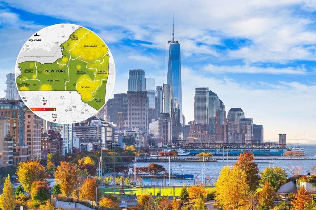 This Interactive New York Fall Foliage Map Reveals Where Regions Are ...