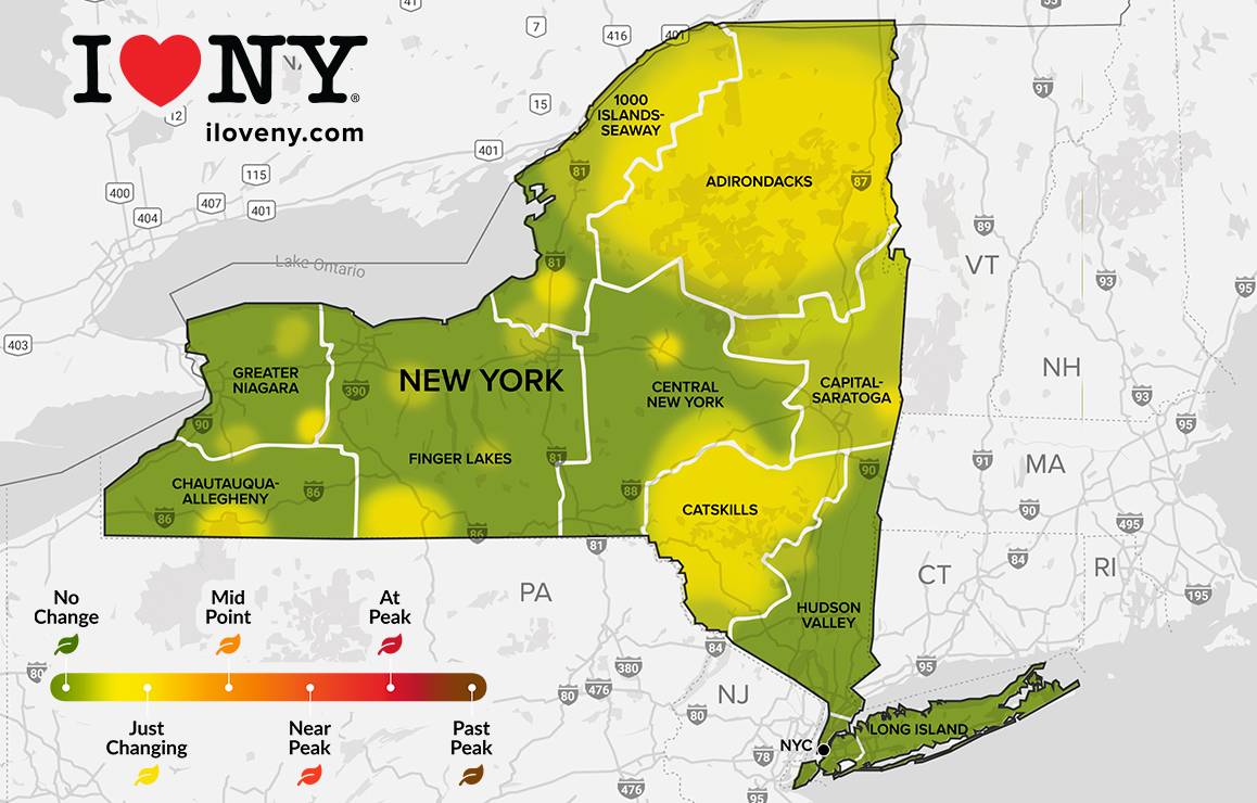 This Interactive New York Fall Foliage Map Reveals Where Regions Are ...