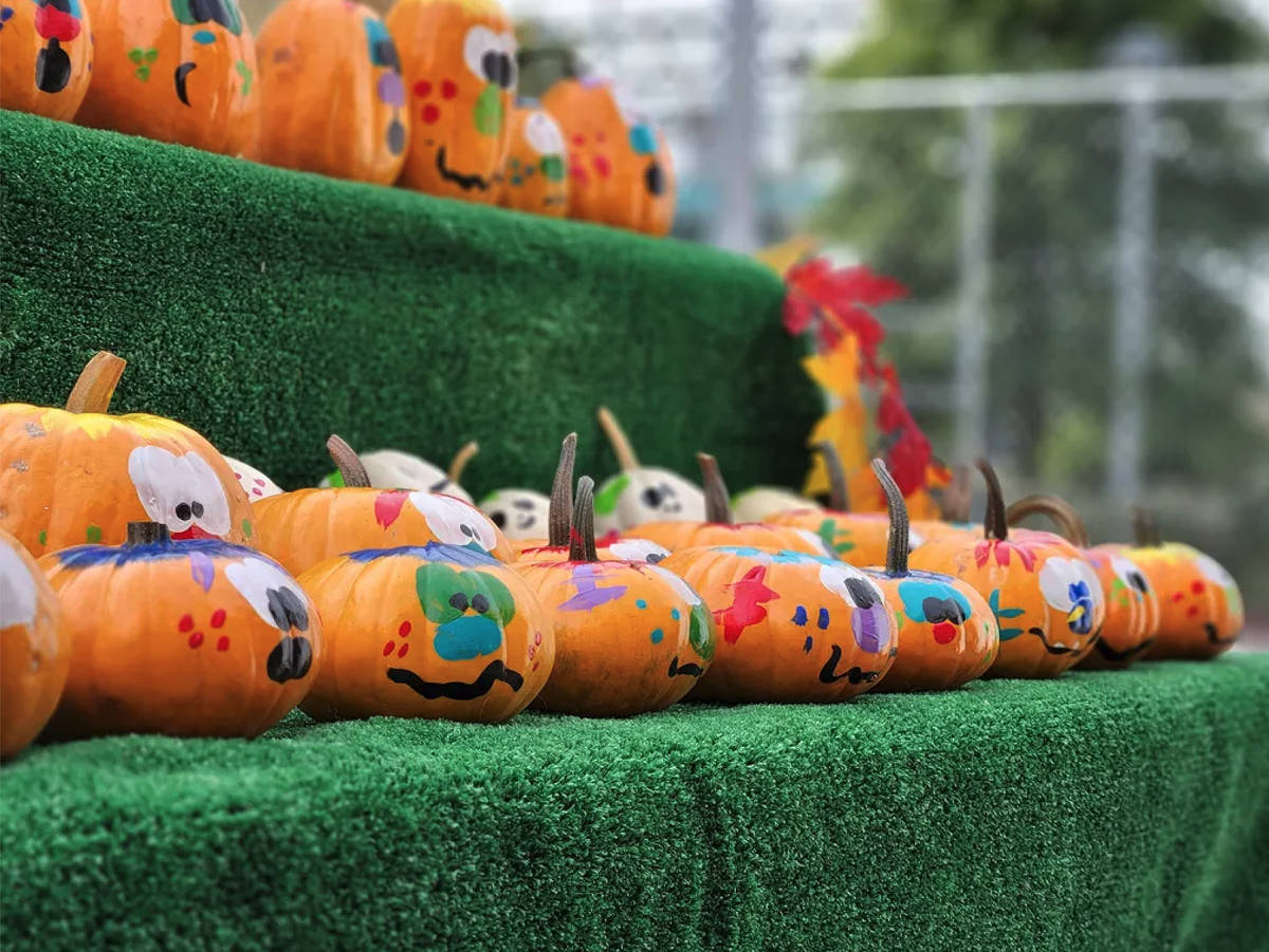 The Best Pumpkin Patches In & Near NYC — Including The Oldest Farm in ...