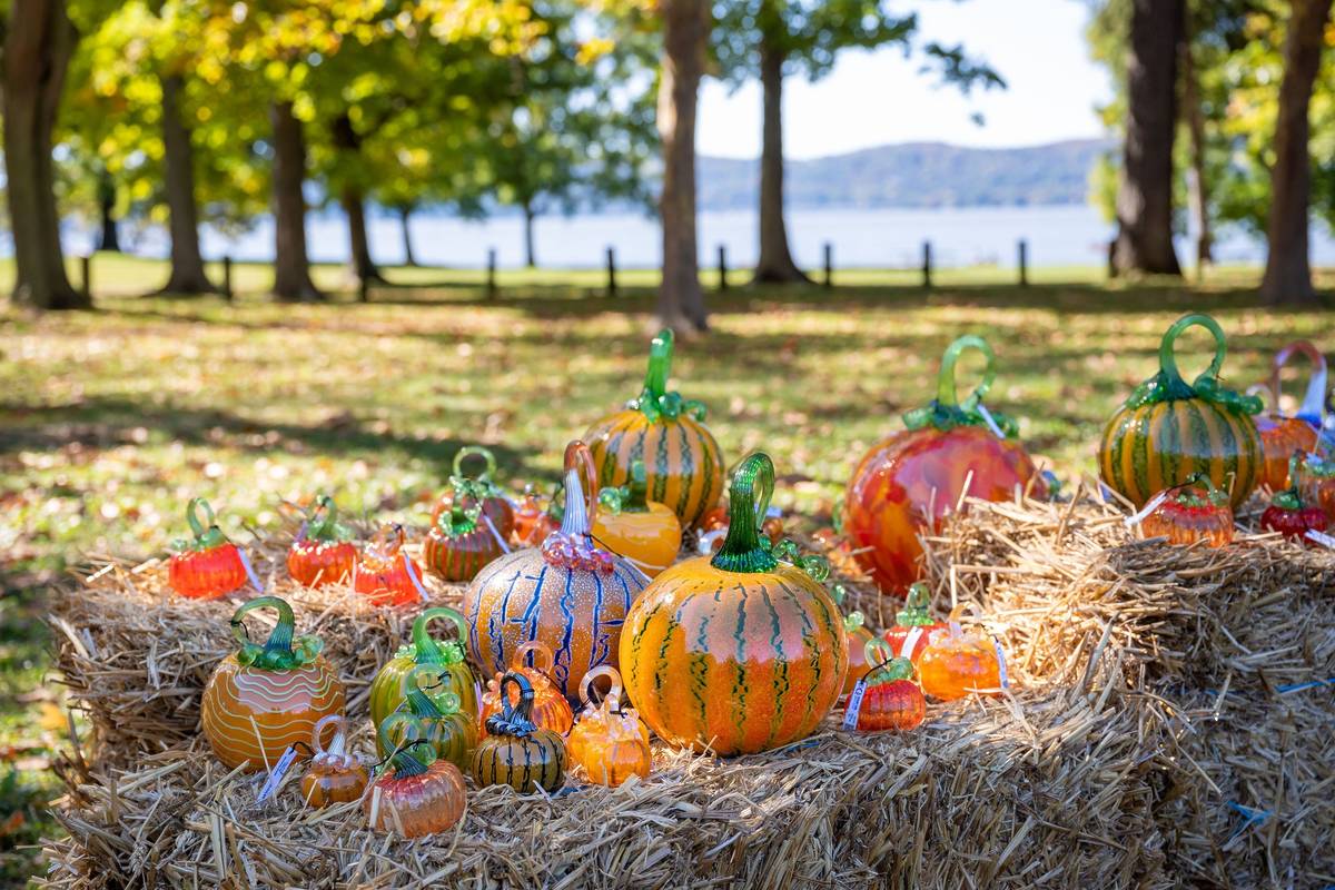 A "Glass Pumpkin Patch" Is Popping Up in a Small Upstate NY Town This Weekend Only — Just 1 Hour ...
