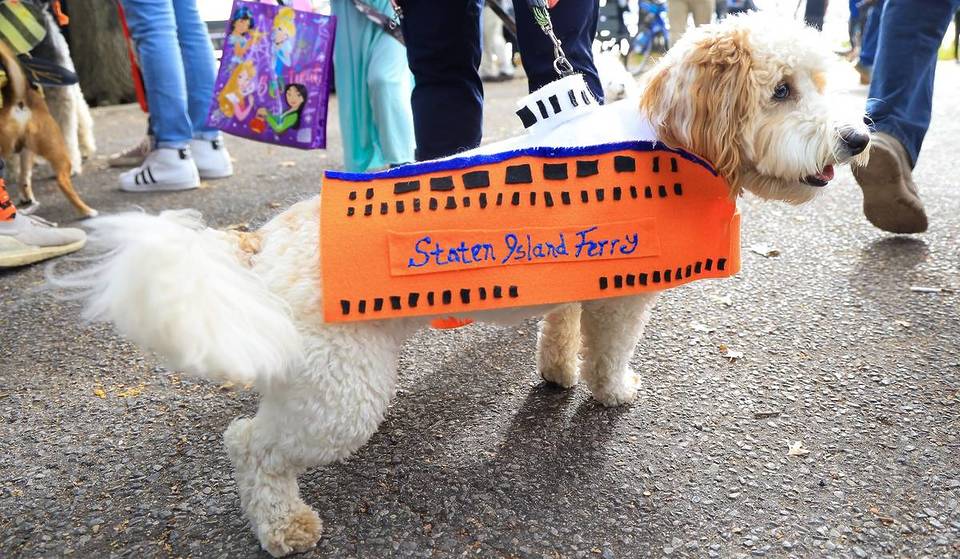Noticias y reportajes de último minuto desde Nueva York.