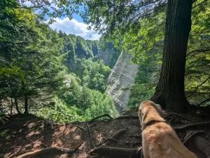 This Underrated NY State Park Hides a 380-Foot Gorge and Fall Views as ...