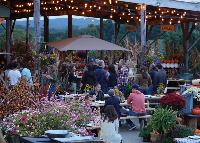 The Dreamiest Apple Orchards Near NYC To Visit This Fall — Where Fresh ...