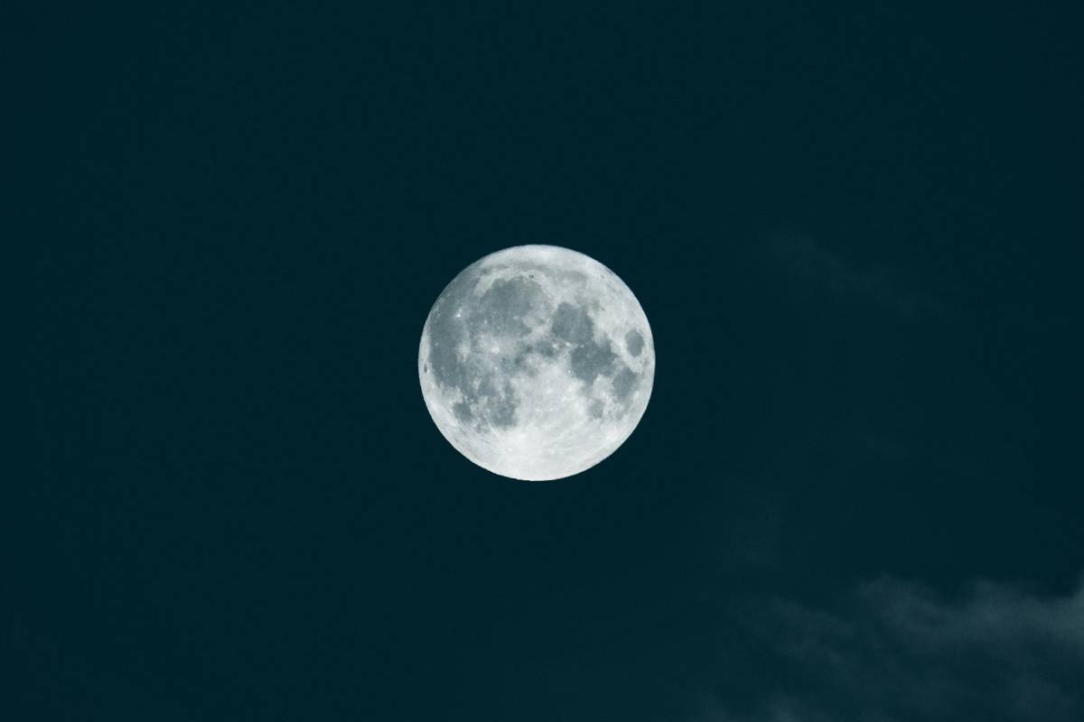 NYC Guide To Tonight's Full Beaver Supermoon: See 2025’s Closest ...