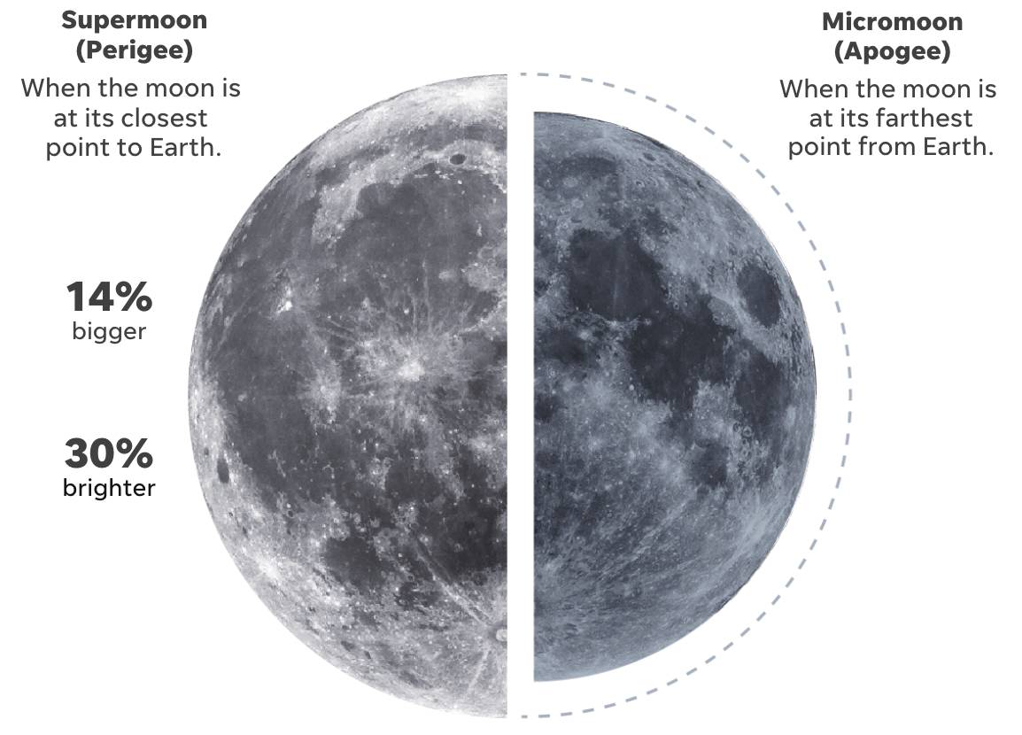The First Full Moon Of 2026 Is A Massive 'Wolf Supermoon'—And It’s ...