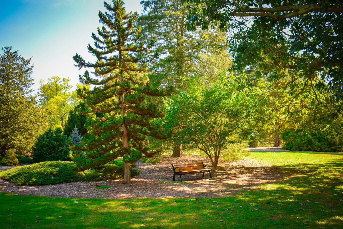 This Stunning NJ County is One of the 'Most Livable' in the U.S ...