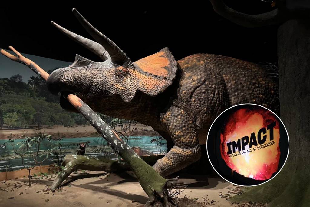 AMNH's Newest Exhibit Relives The World’s Most Famous Extinction —With ...